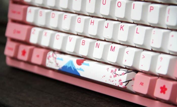 AKKO Japanese Keycaps Review – The All-Time Favorite? – GoMK